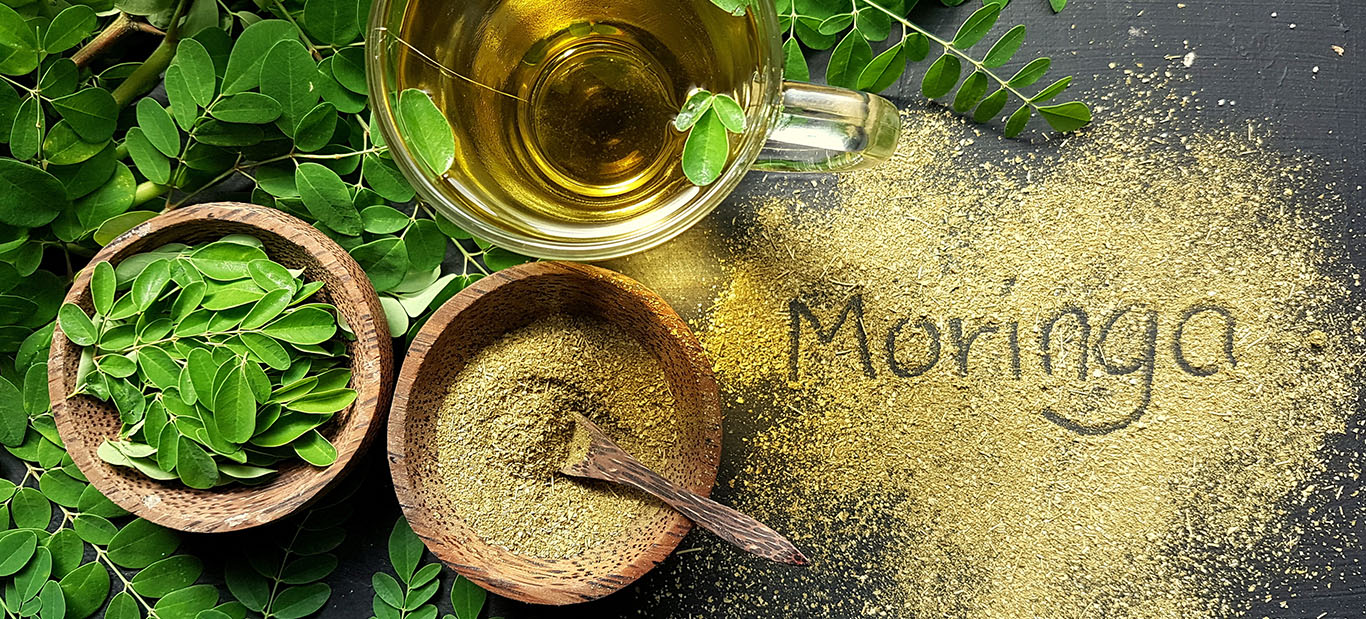 Moringa ... a árvore milagrosa